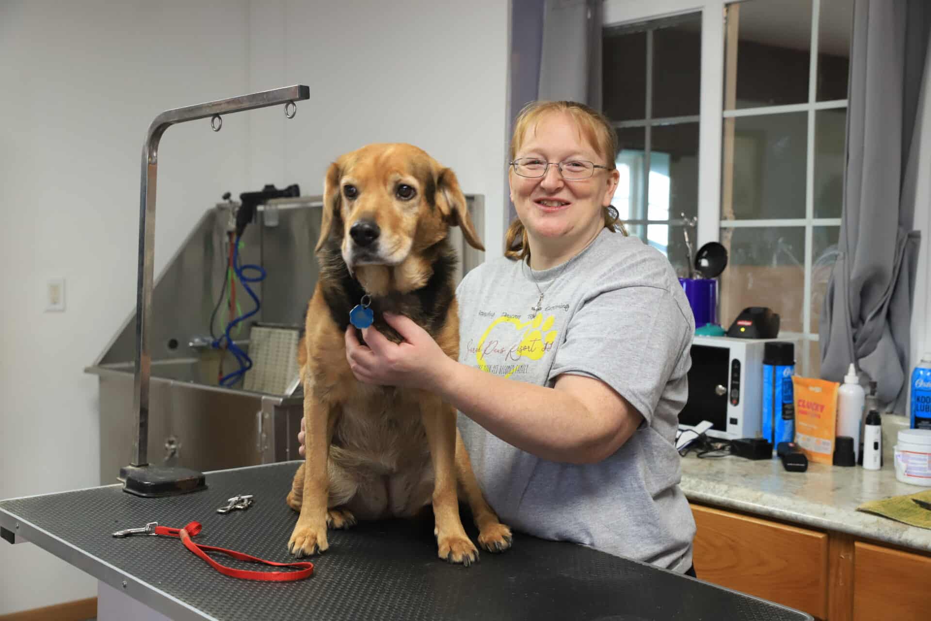 Sarah Paws Resort,rural Currie, officially opens | Southwest Regional ...